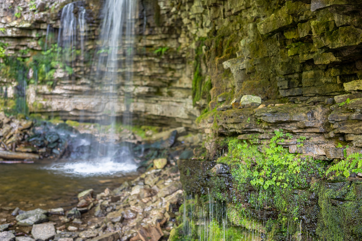 Hilton Falls Waterfall | Exploring Ontario's Waterfalls | FREAKTOGRAPHY