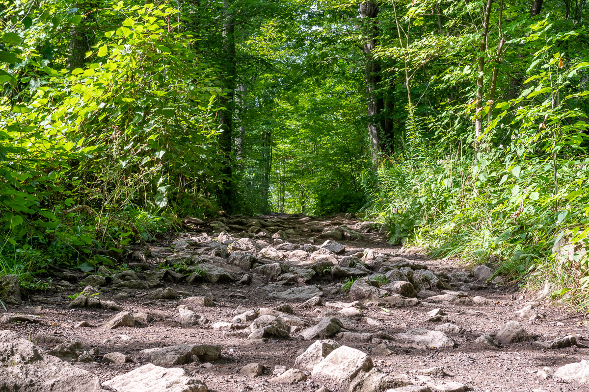 Hilton Falls Waterfall | Exploring Ontario's Waterfalls | FREAKTOGRAPHY