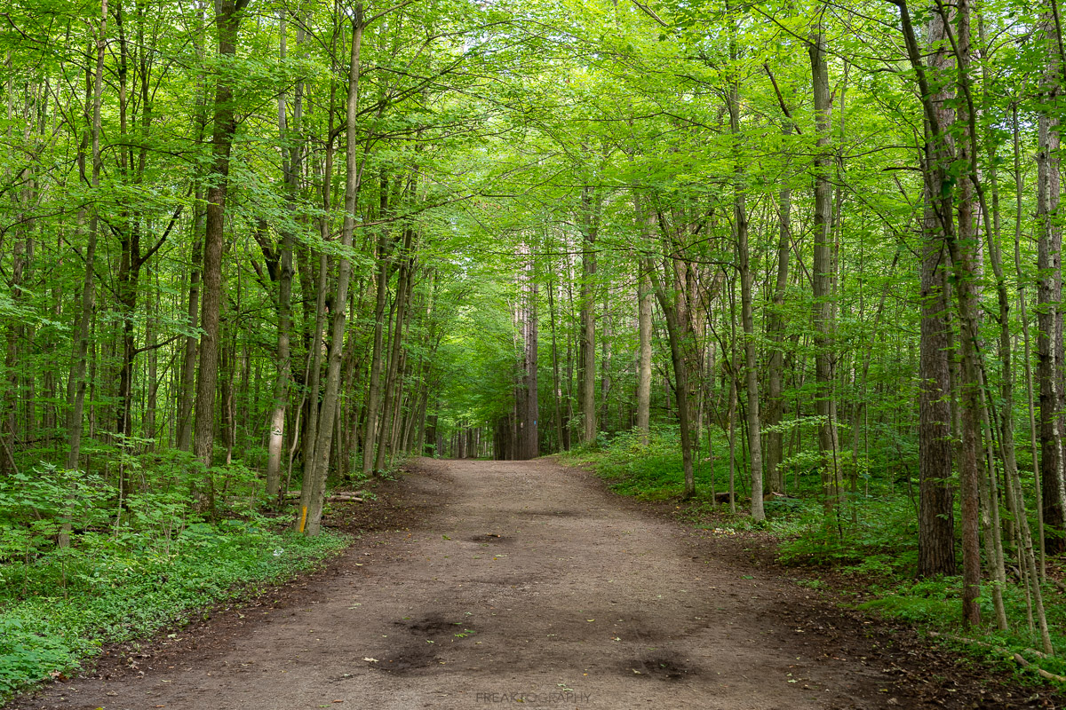 Hilton Falls Waterfall | Exploring Ontario's Waterfalls | FREAKTOGRAPHY
