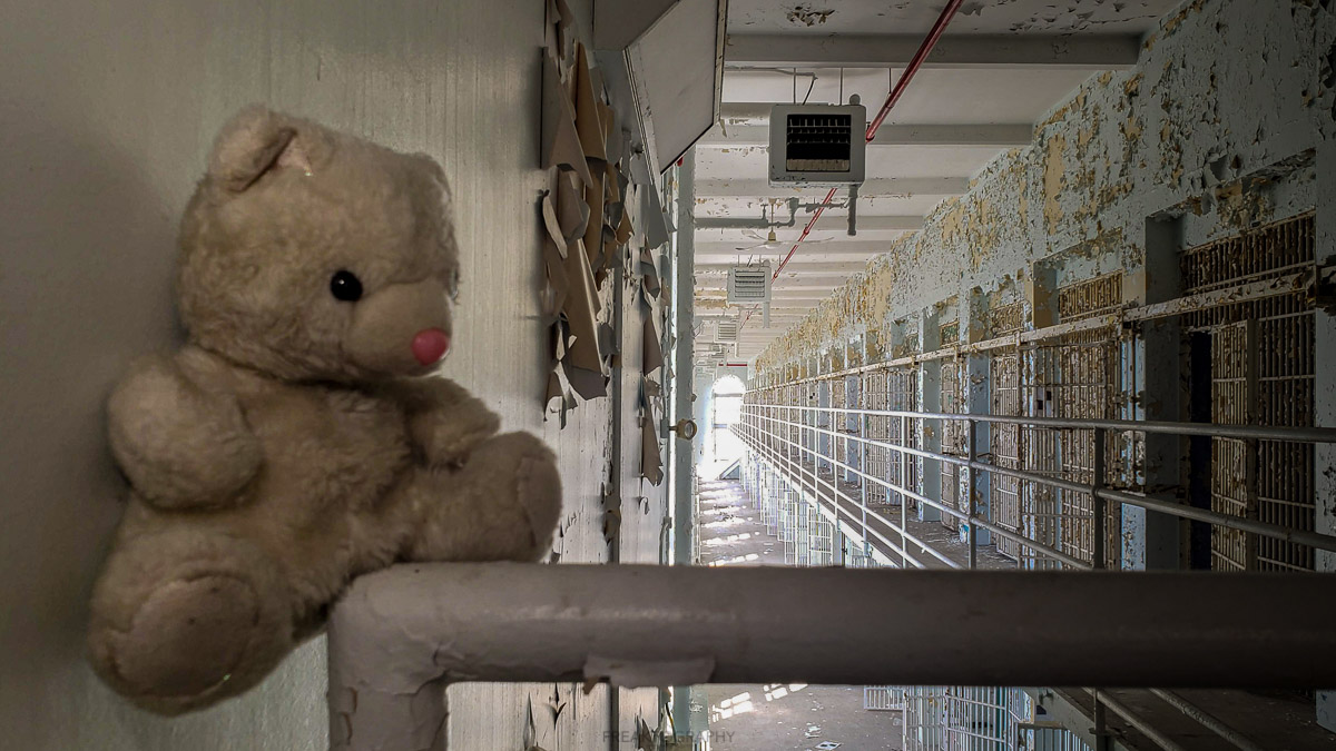 Law and Order Stuffy Bears Unit: Tiny Goes to Jail | FREAKTOGRAPHY