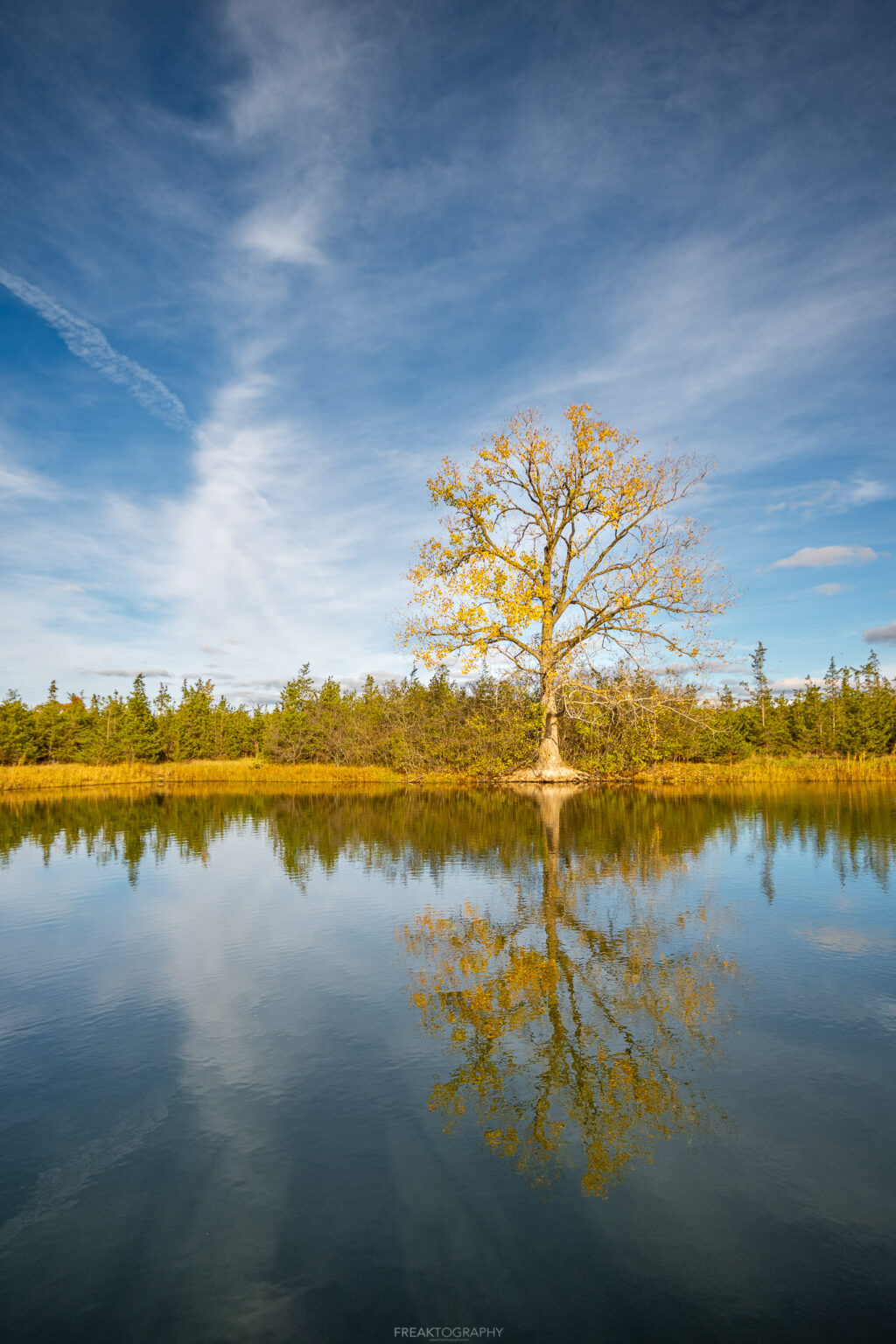 Photography | Canadian Photography | Ontario Photographer