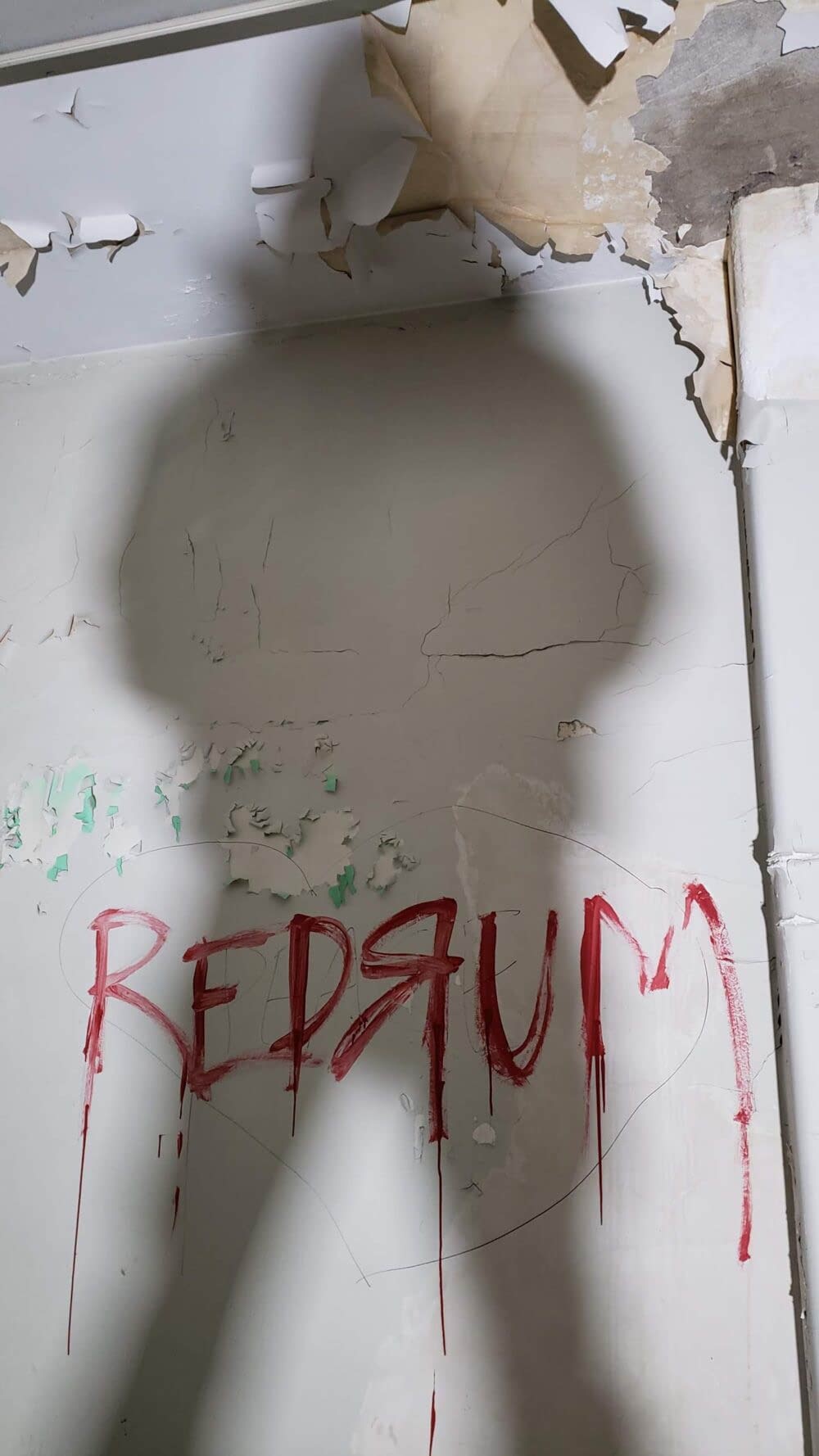 Abandoned Century Manor Insane Asylum Hamilton Ontario