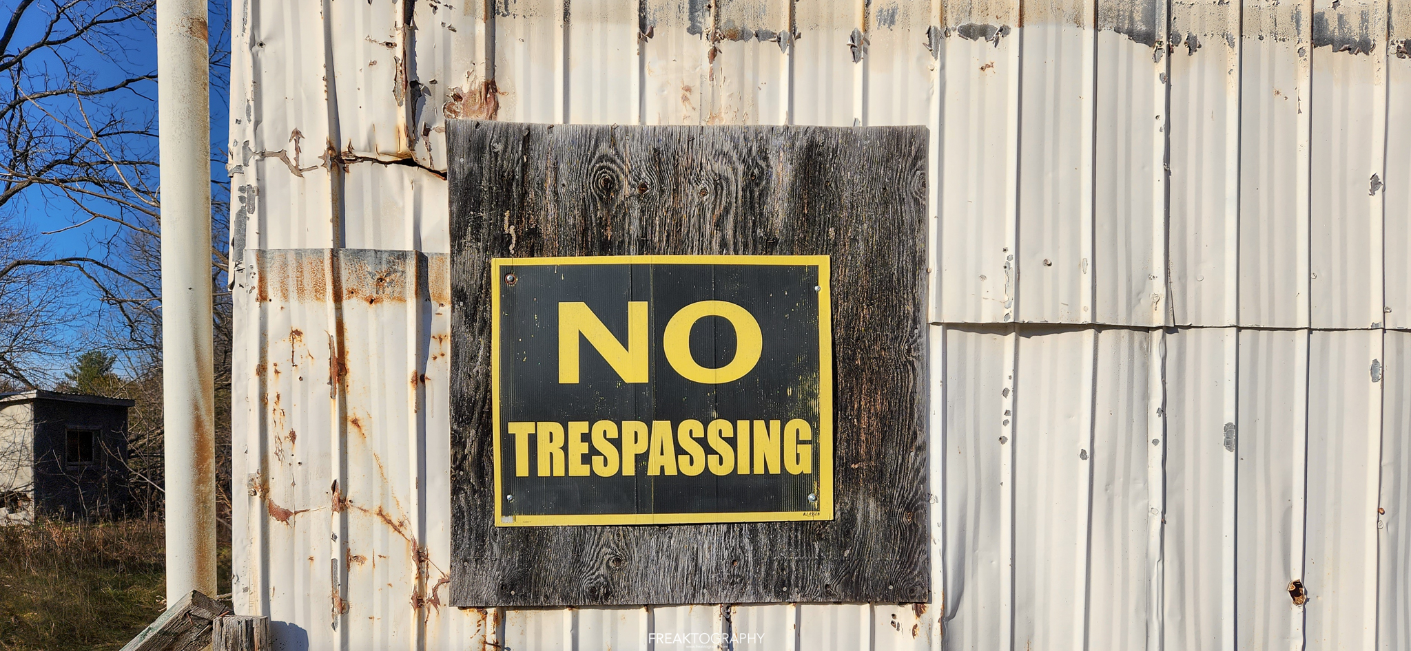 Abandoned Building FULL of Classic Cars