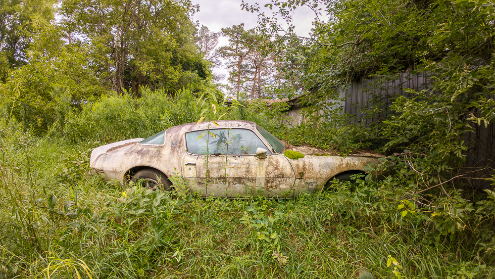 Abandoned Firebirds and a VW Beetle Hidden in the Forest
